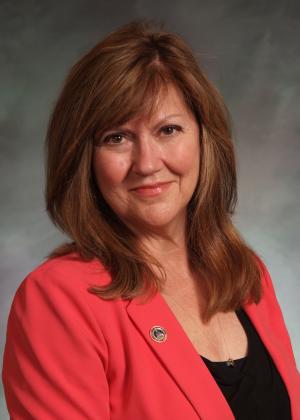 Lisa Cutter Elected to Colorado Senate District 20 – Denver Public ...
